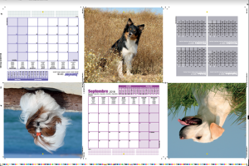 Catalogue printing: How to choose the right format and make it ...